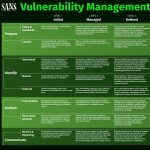 RH-ISAC | Using the SANS Vulnerability Management Maturity Model in ...